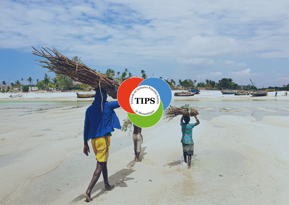 Network Programming - Peacemakers Network