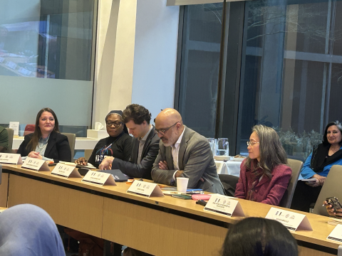 CSW69 Beijing+30: Women of Faith Advancing the 12 Critical Areas of the ...